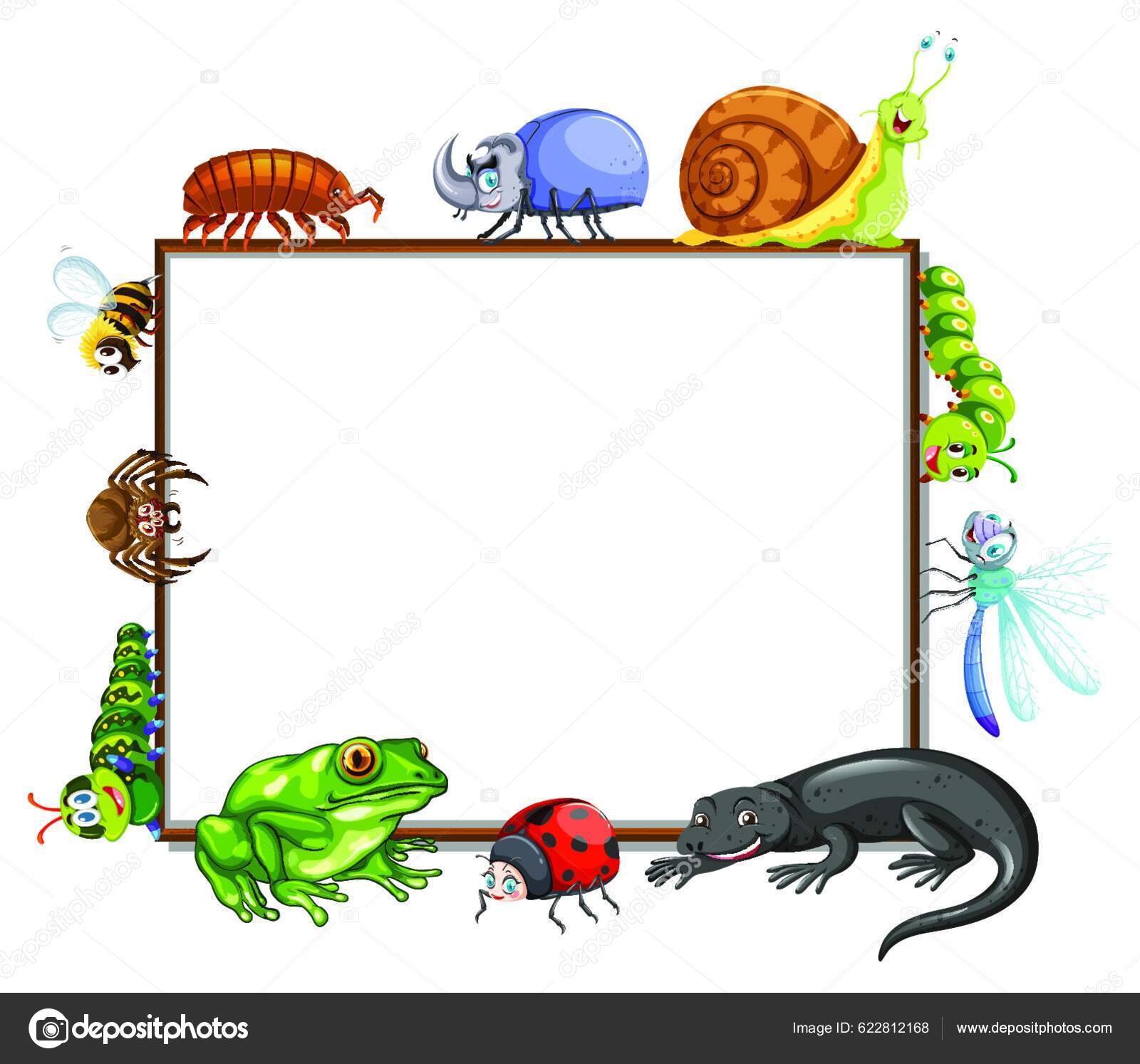 Border Template Many Insects Stock Vector by ©YAY_Images 622812168