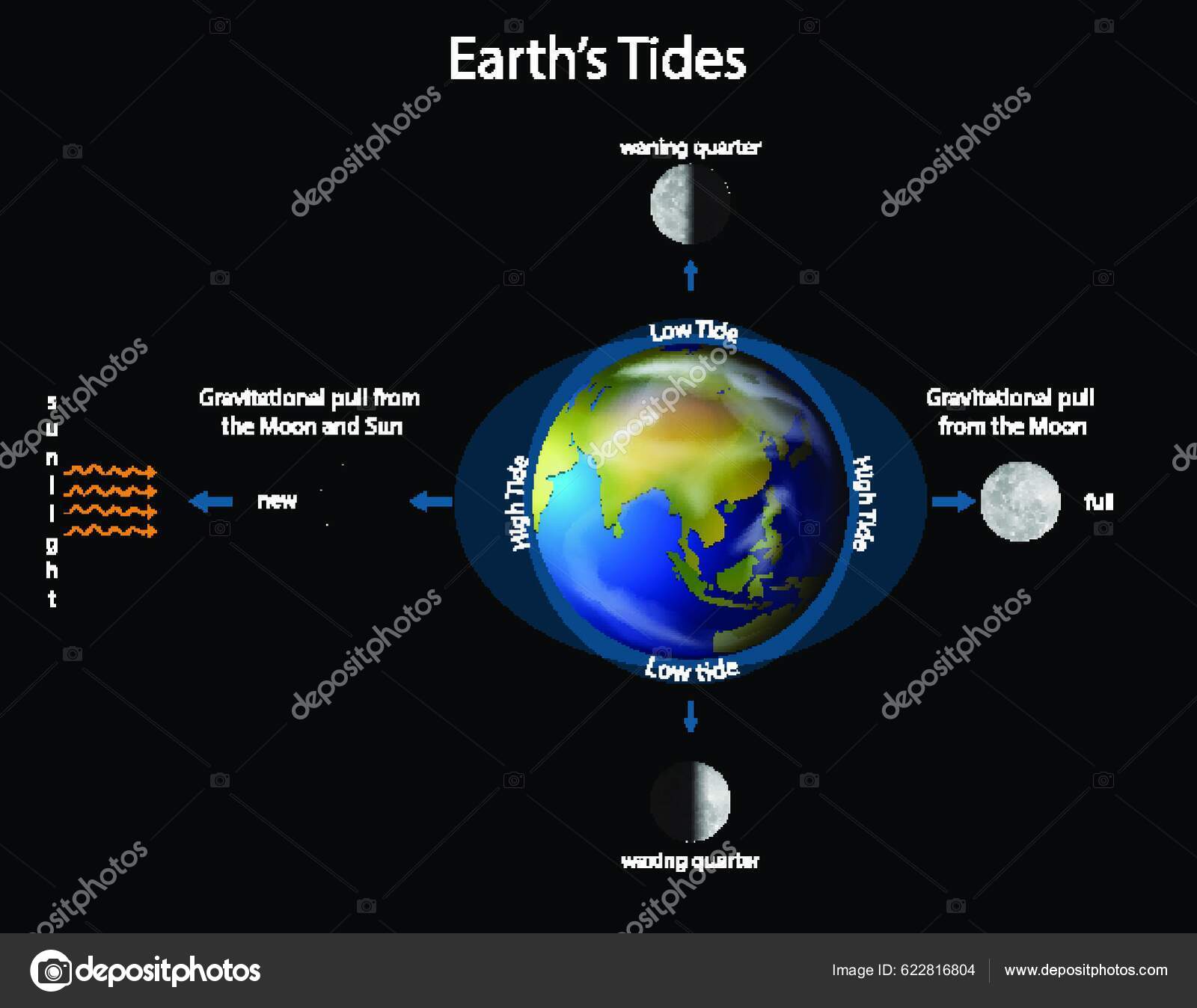 Diagram Showing Earth Tide Stock Vector by ©YAY_Images 622816804