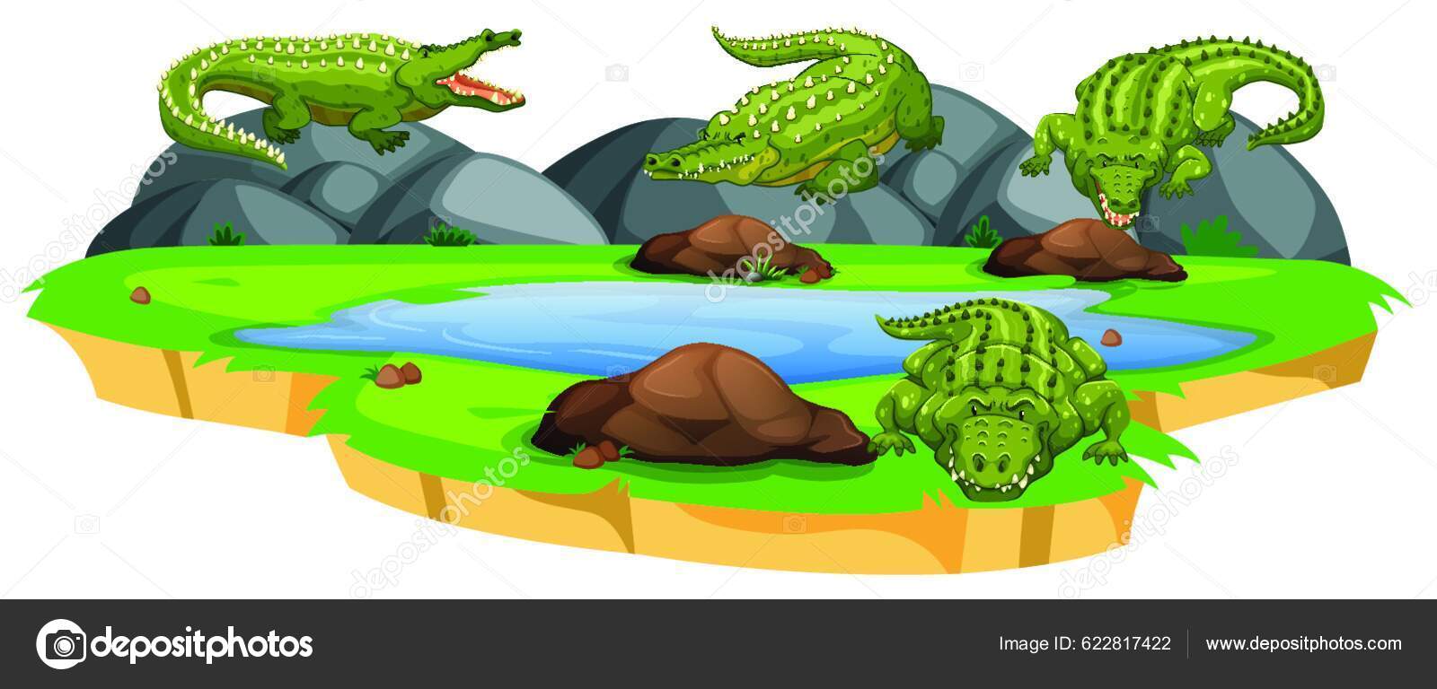 Group Crocodile Pond Stock Vector by ©YAY_Images 622817422