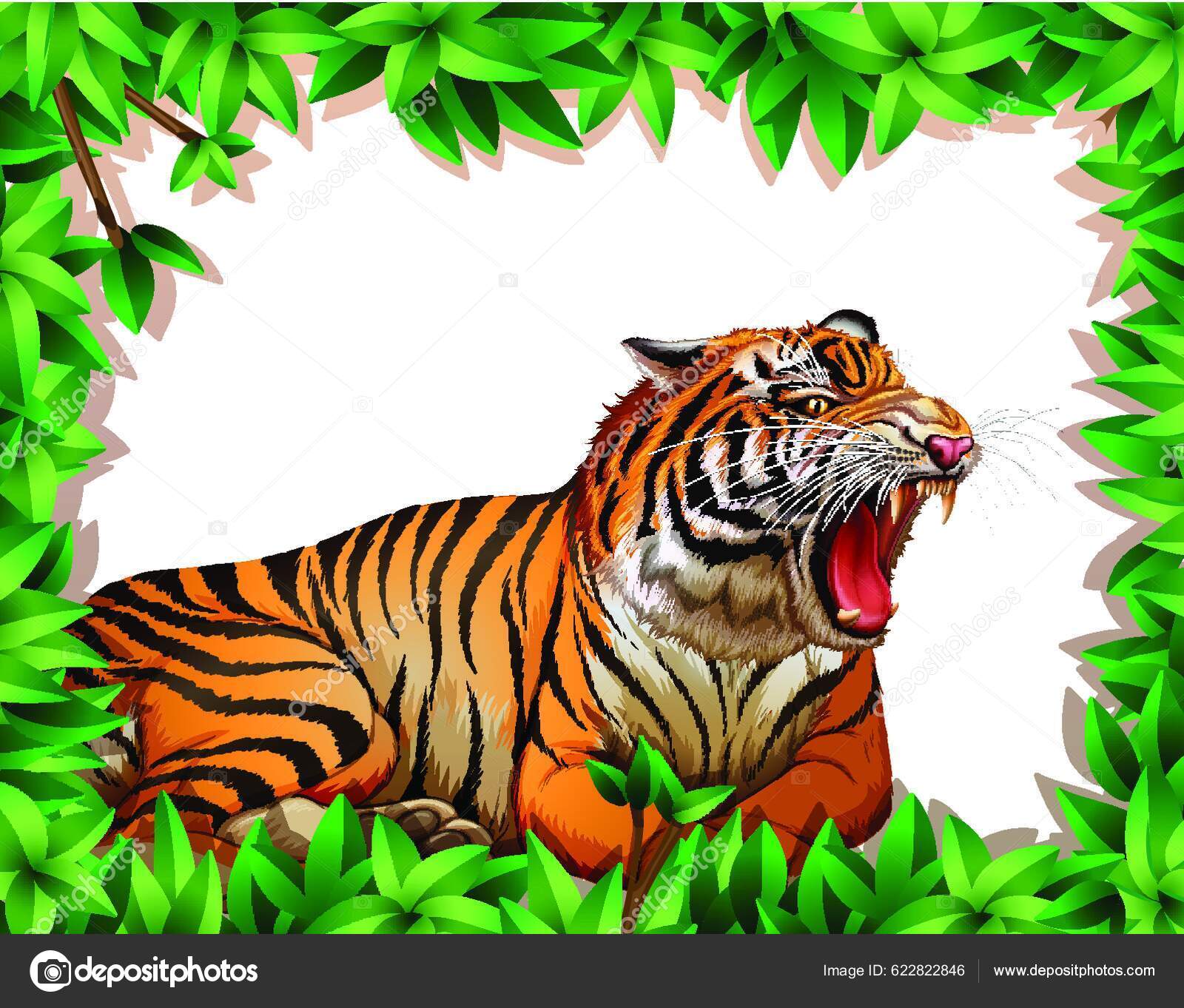 Tiger Nature Frame Stock Vector by ©YAY_Images 622822846