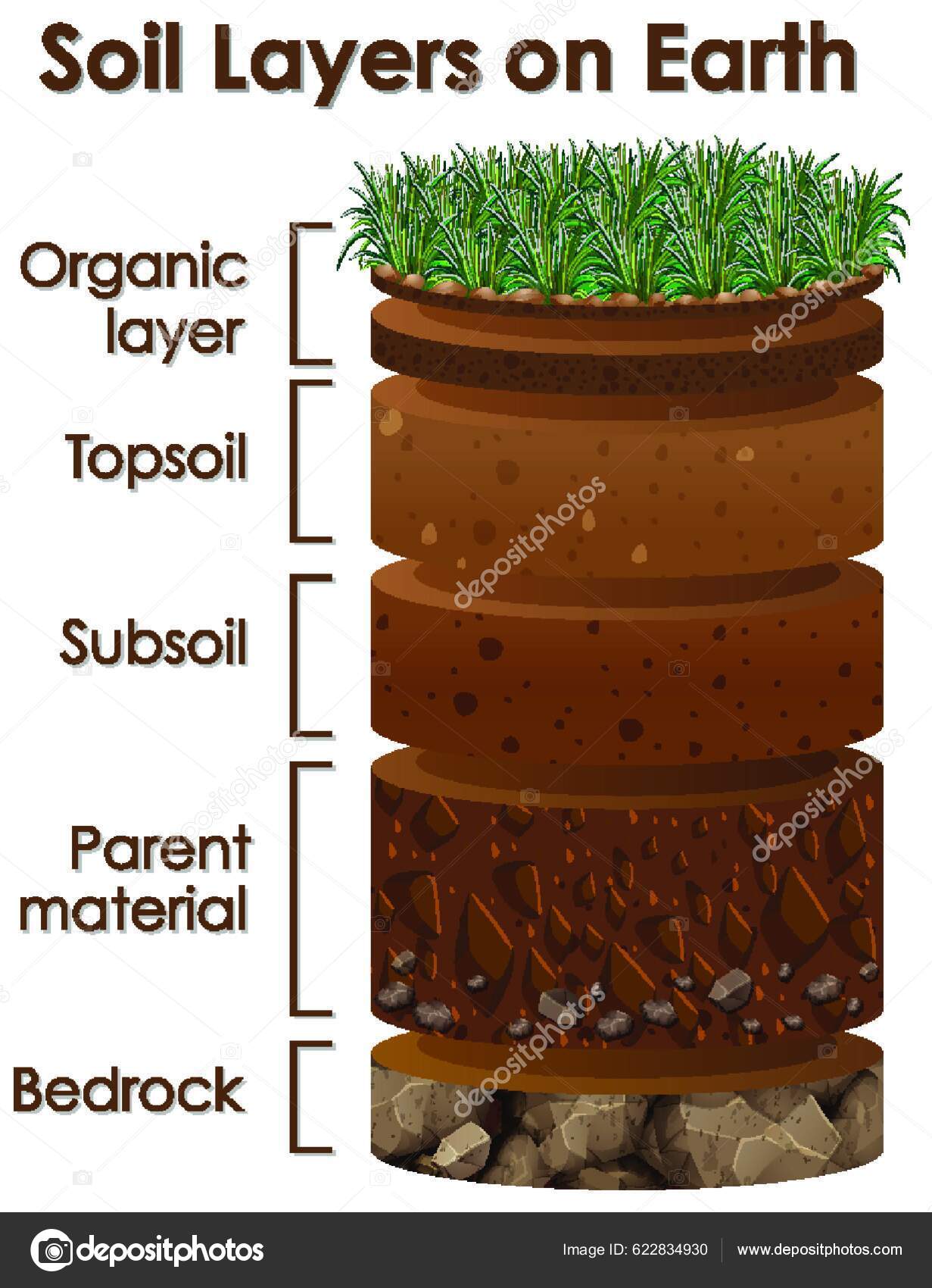 Grafik Zeigt Bodenschichten Auf Der Erde Stock-Vektorgrafik von ©YAY ...