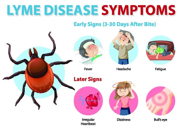 Diabetes Symptoms Information Infographic Stock Vector by ©YAY_Images ... Diabetes Symptoms Information Infographic Stock Vector by ©YAY_Images ...