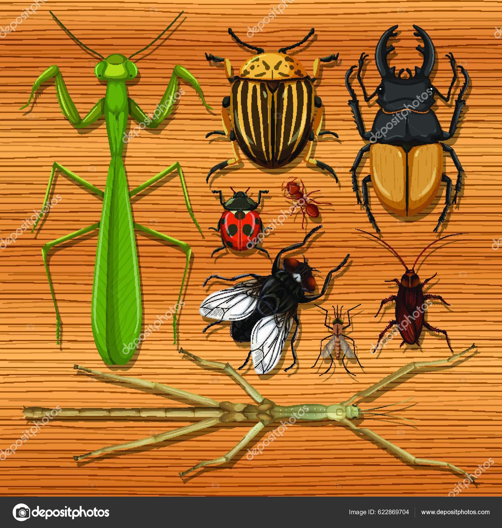 Set Different Insects Wooden Wallpaper Background Stock Vector Image by ...