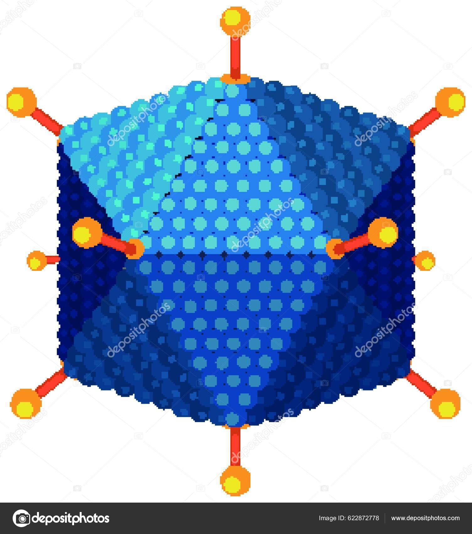 Adenovirus Structure Diagram White Background Stock Vector Image by ... Adenovirus Structure Diagram White Background Stock Vector Image by ...