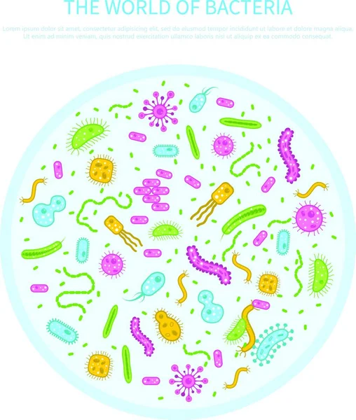 Ilustración Célula Bacteriana Vector de stock por ©YAY_Images 622769766