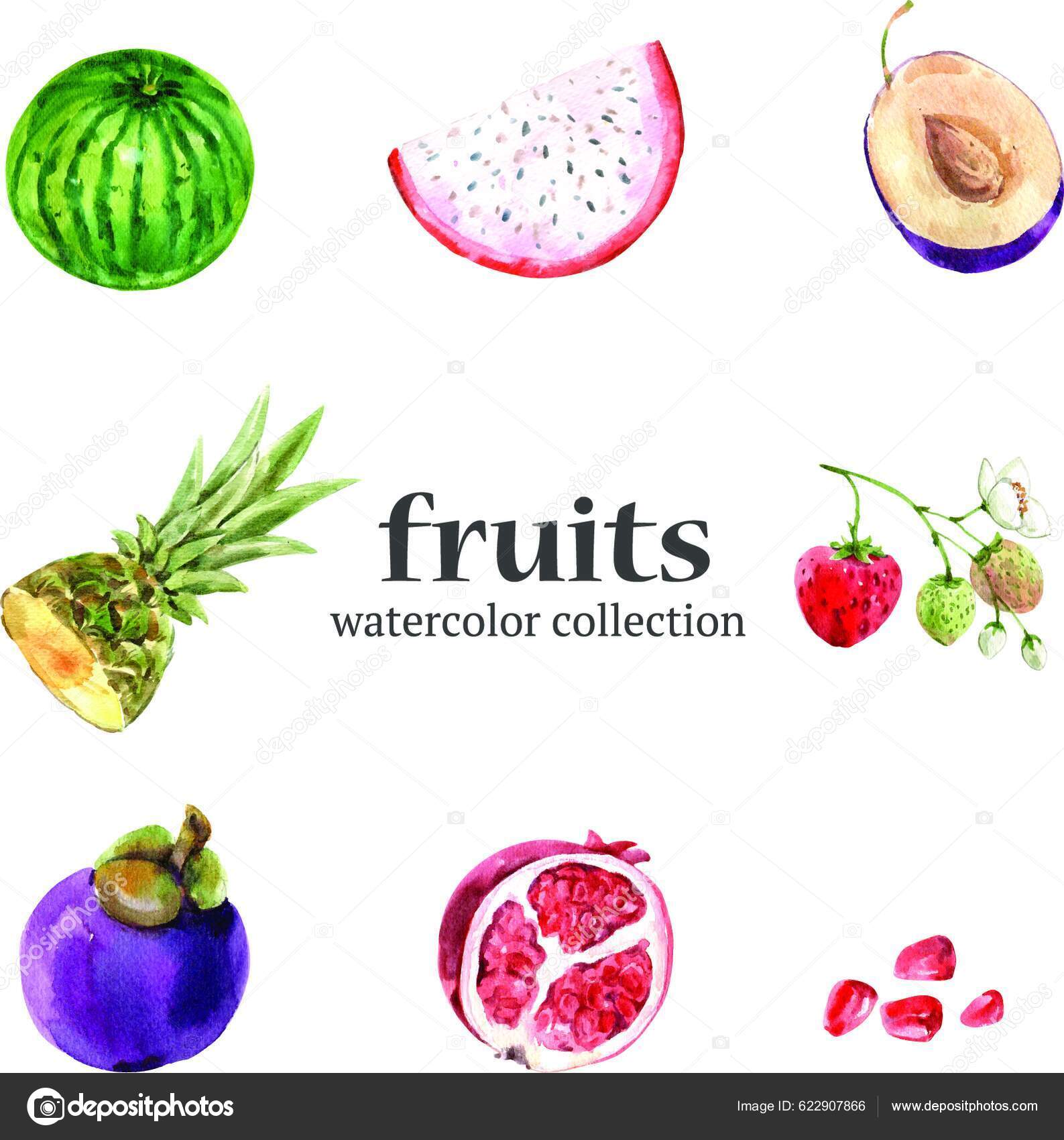 Various Isolated Watercolor Fruits Illustration White Background Stock ...