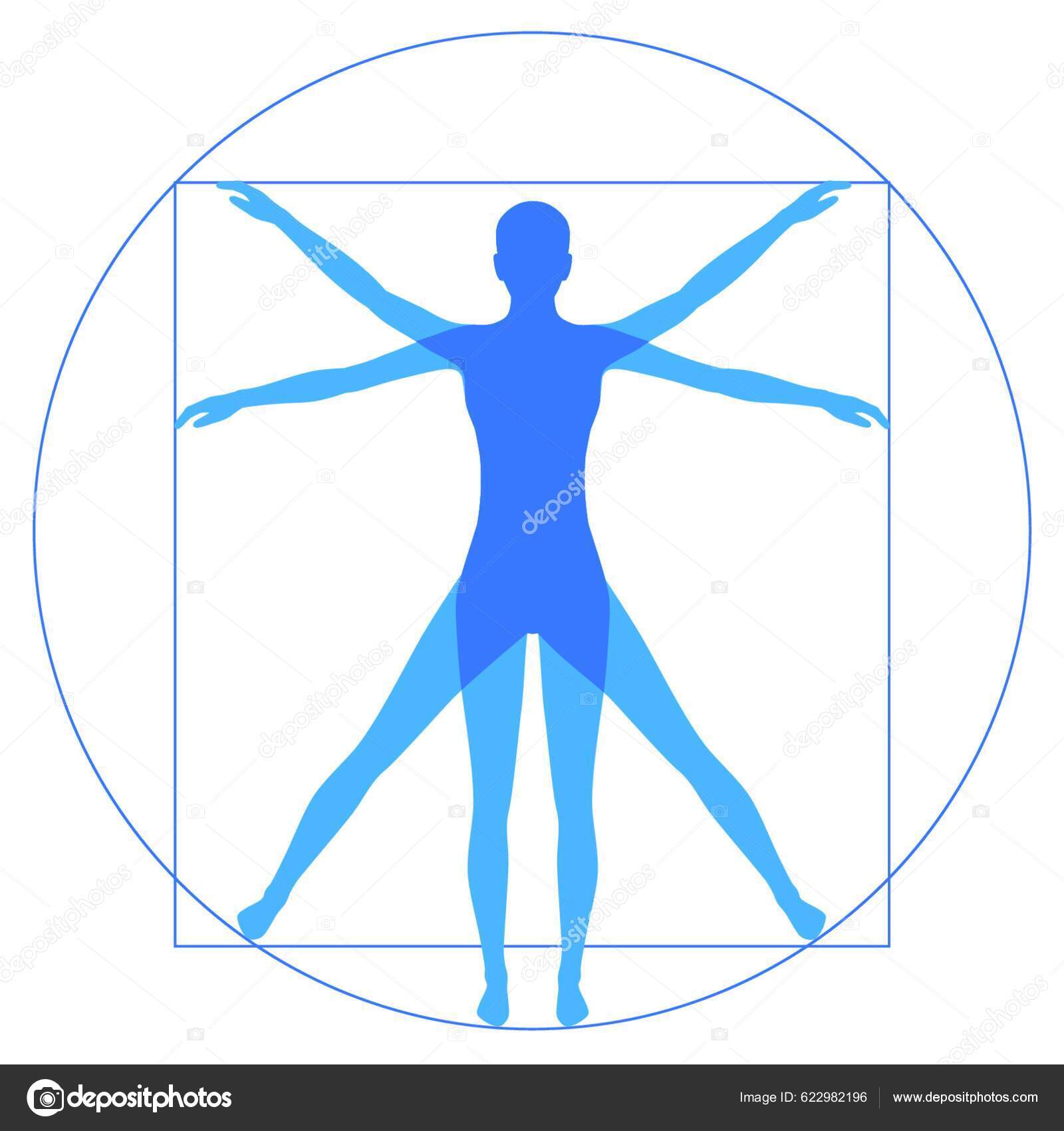 Vitruvian Human Simple Vector Illustration Stock Vector by ©YAY_Images ...