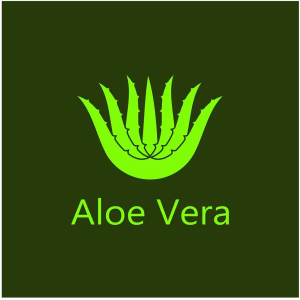 Aloe Vera Logo Vector Illustration Stock Vector by ©YAY_Images 623098978