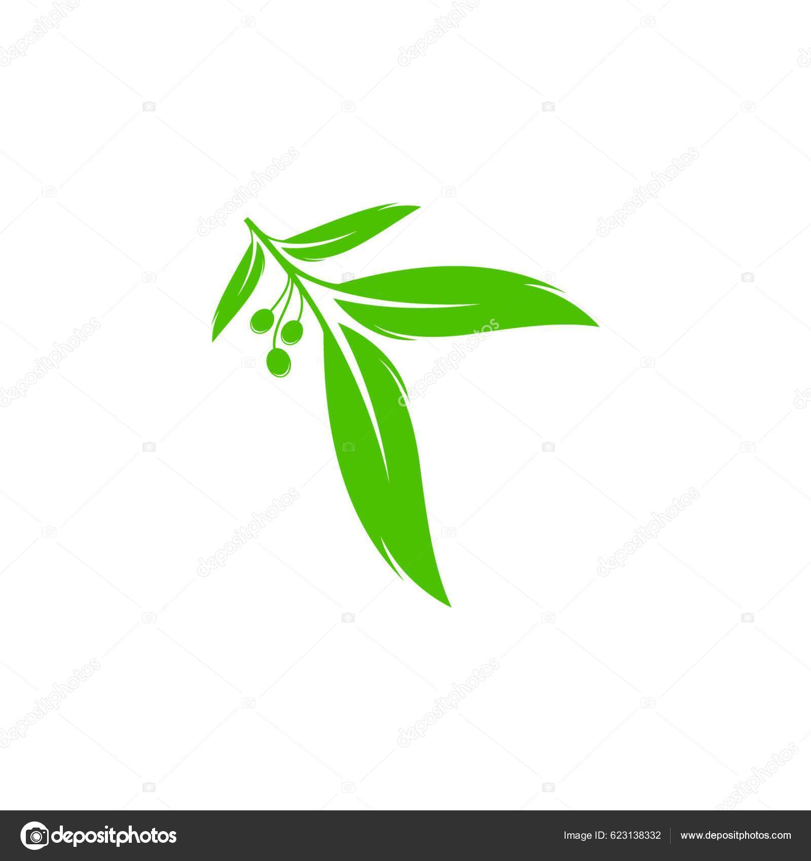 Logotipo Do Eucalipto