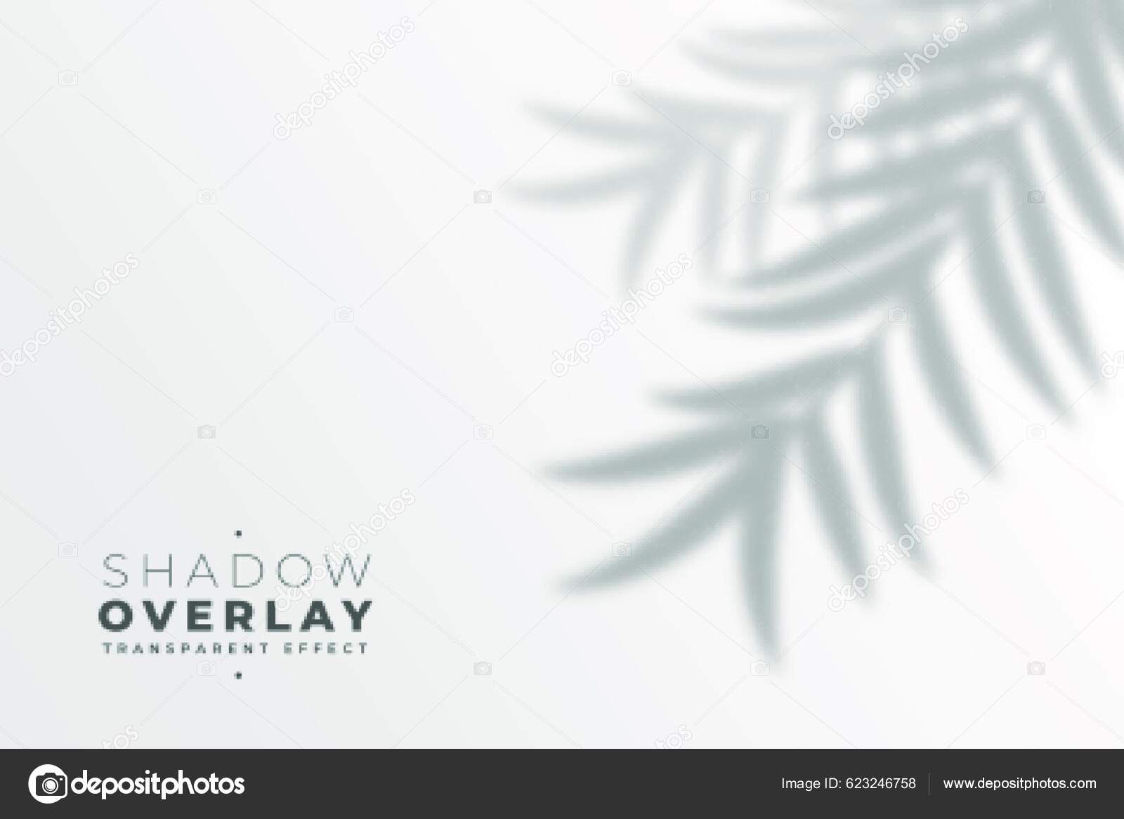 Hojas Transparentes Sombra Efecto Superposición Vector de stock ...