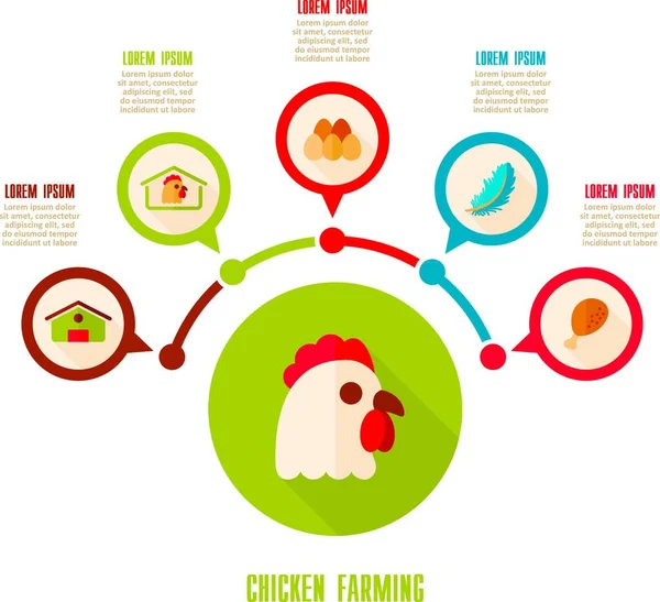 Chicken Farming Icon Agriculture Infographics Stock Vector by ©YAY ...