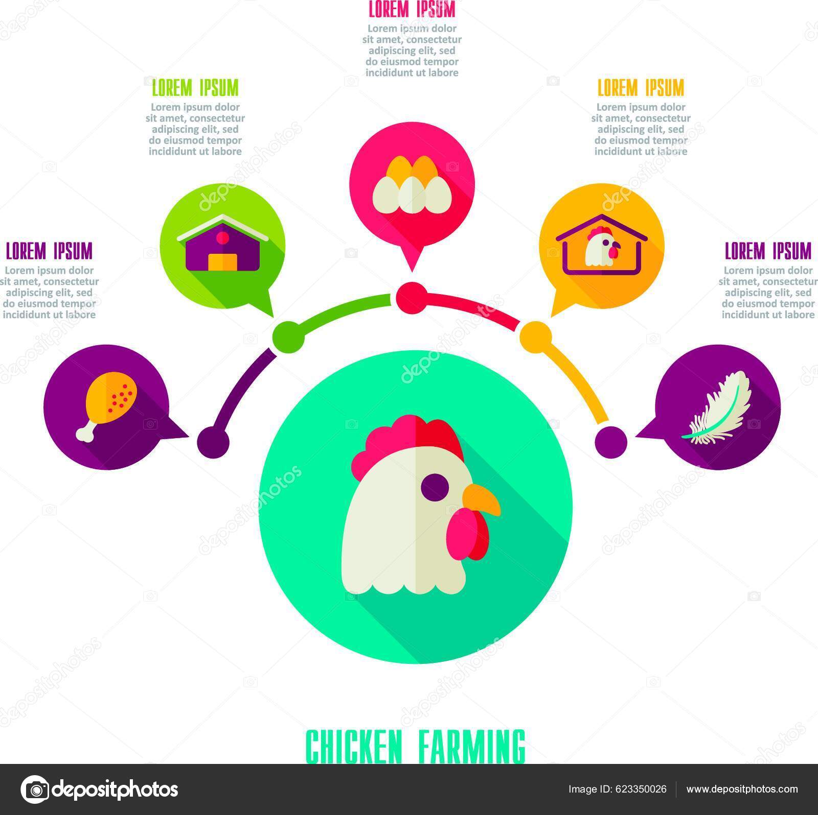 Chicken Farming Icon Agriculture Infographics Stock Vector by ©YAY ...