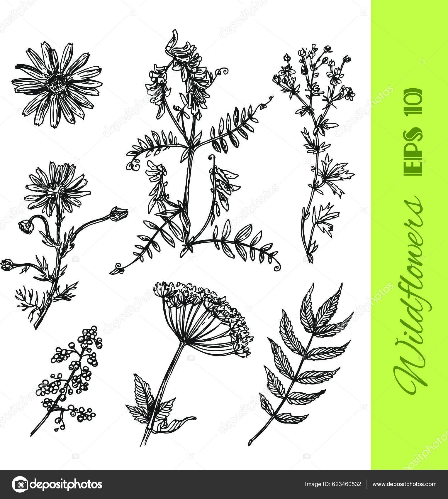 Boho Style Flowers Vector Illustration Stock Vector by ©YAY_Images ...