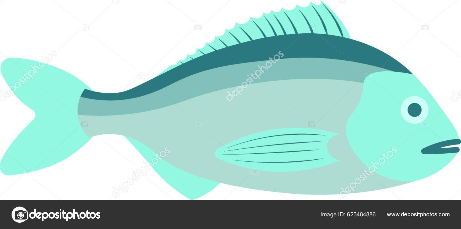 Dorado Fish Wallpaper