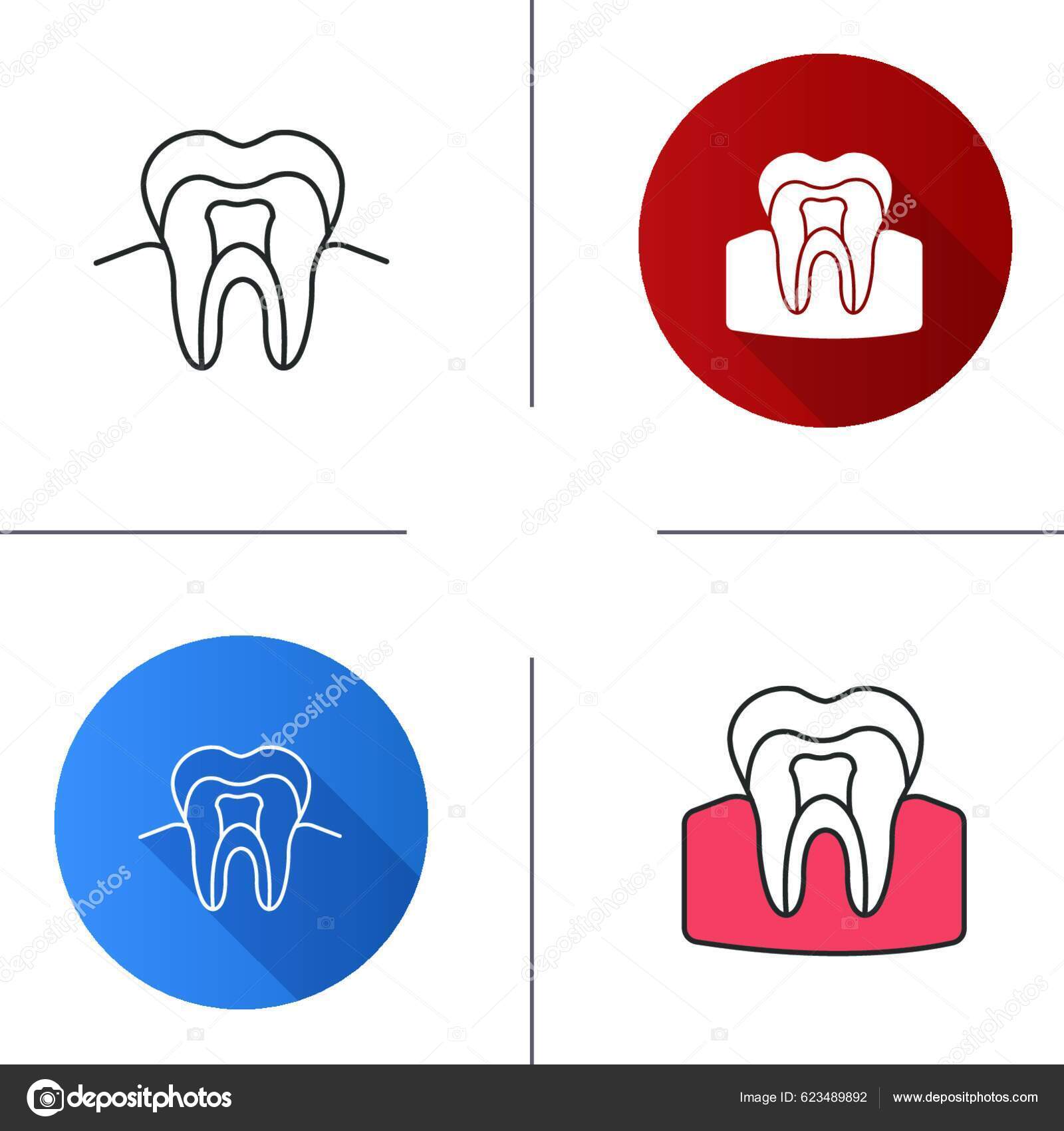 Diente Icono Estructura Anatómica Vector de stock #623489892 de ©YAY_Images