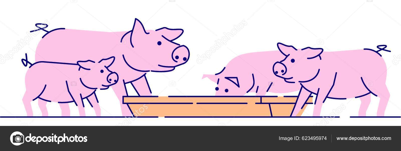 Pigs Feeding Flat Vector Illustration Livestock Farming Animal ...
