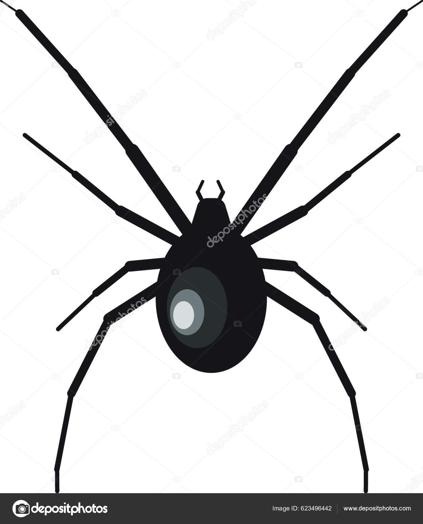 Svart Änka Spindel Vektor Illustration Isolerad Vit Bakgrund vektor av ... Svart Änka Spindel Vektor Illustration Isolerad Vit Bakgrund vektor av ...