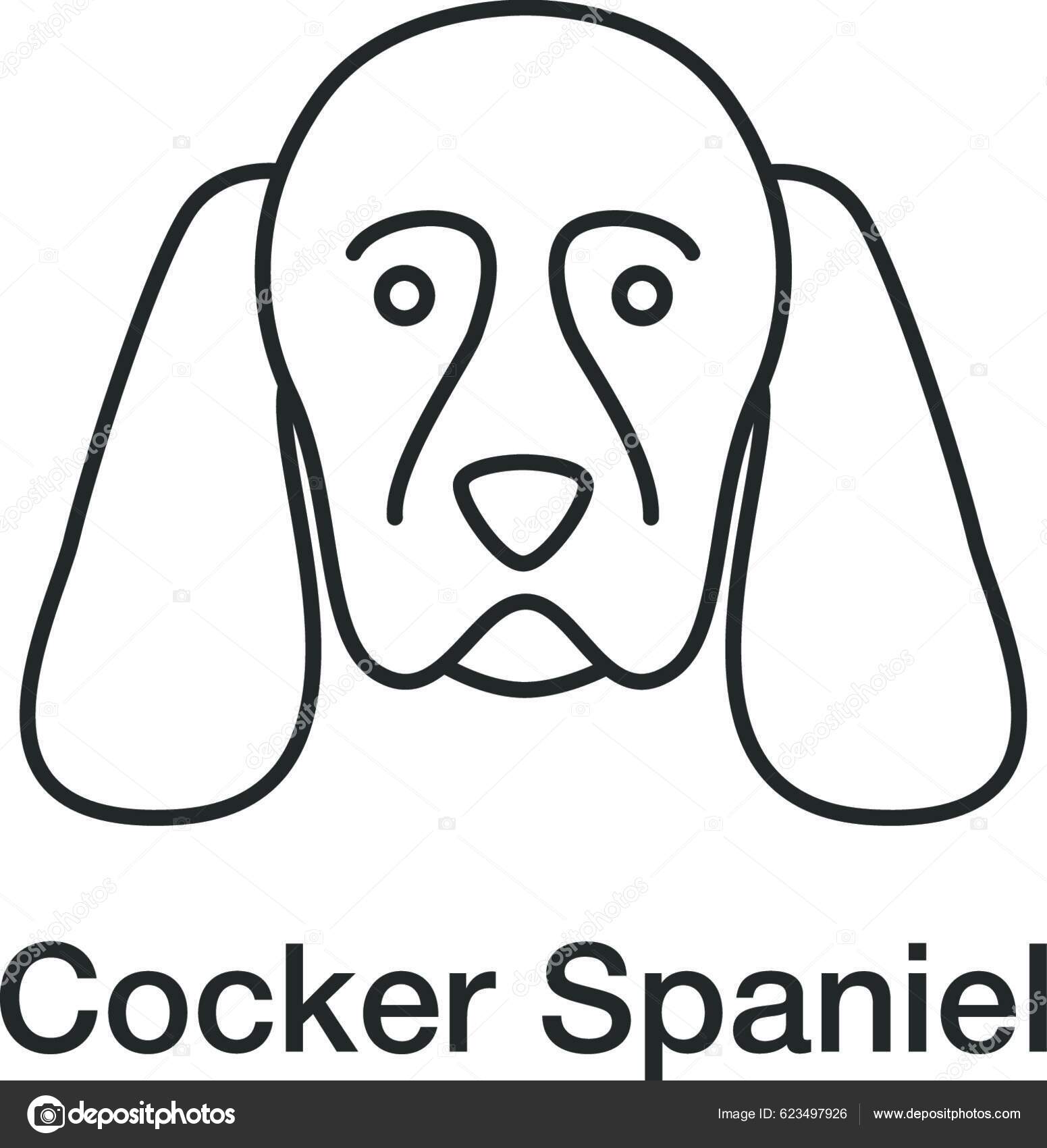 Cocker Spaniel Linear Icon Stock Vector by ©YAY_Images 623497926