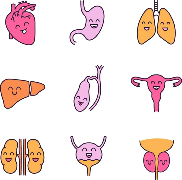 Human Internal Organs Color Icons Set Stock Vector by ©YAY_Images 623490724