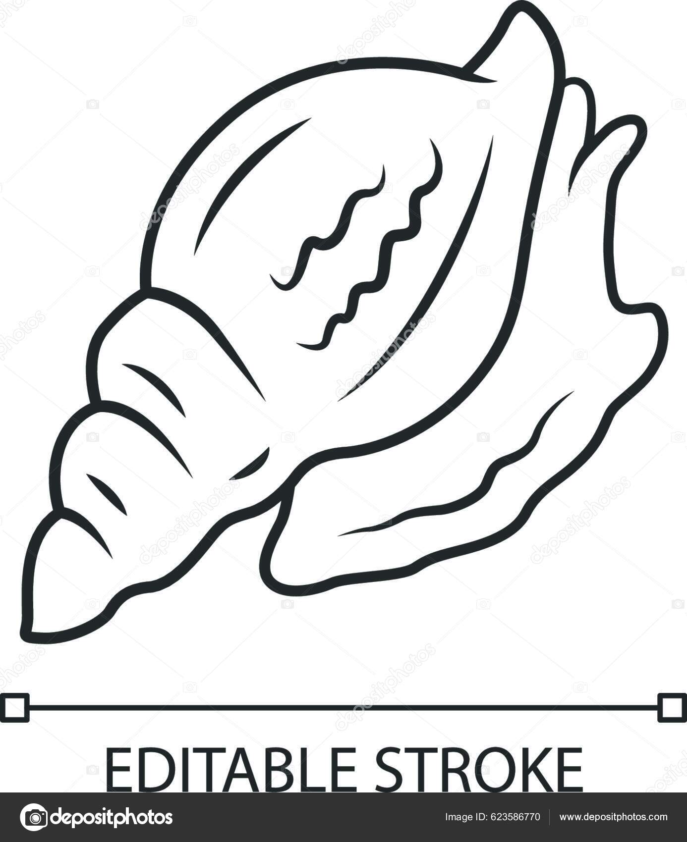 Thin Shells Clip Art