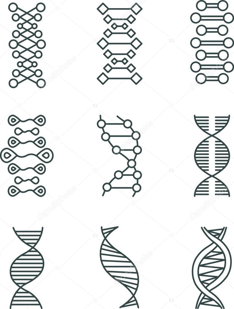Conjunto de iconos lineales de doble hélice ADN. Desoxirribonucleico ...