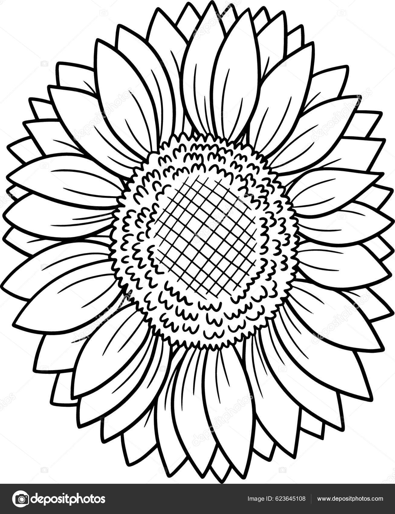 Coloriage Tournesol