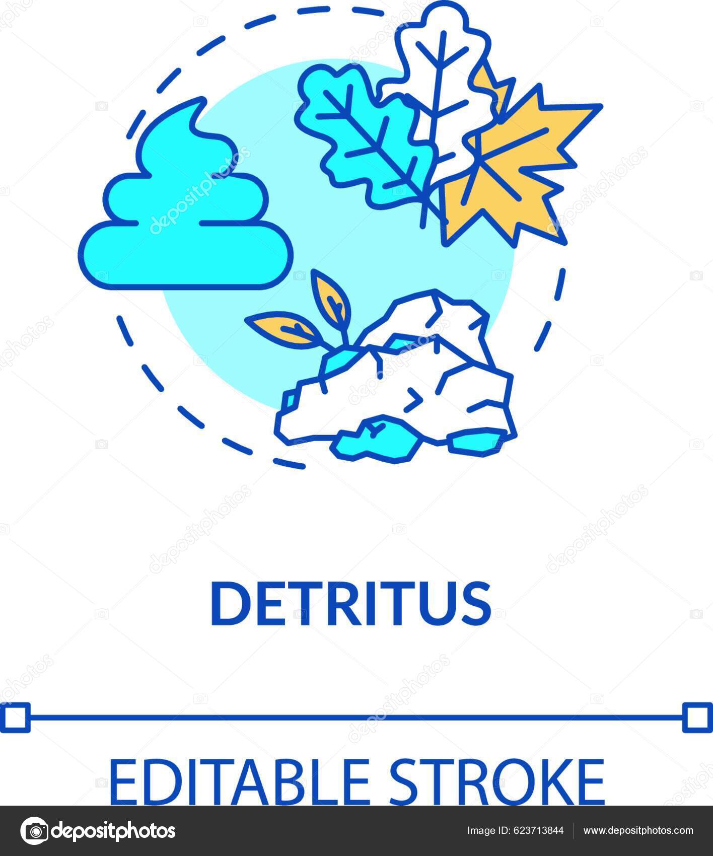 Detritus Concept Icon Food Chain Energy Producer Organisms Dead Plants ...