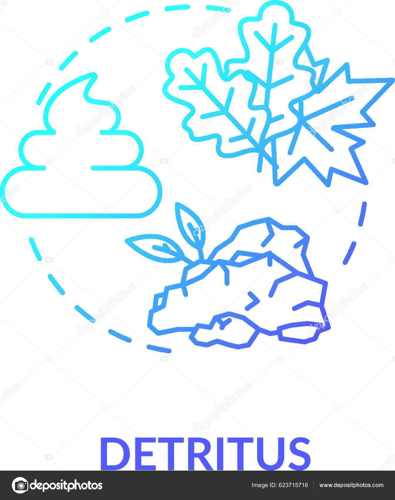 Detritus Concept Icon Food Chain Energy Producer Organisms Dead Plants ...