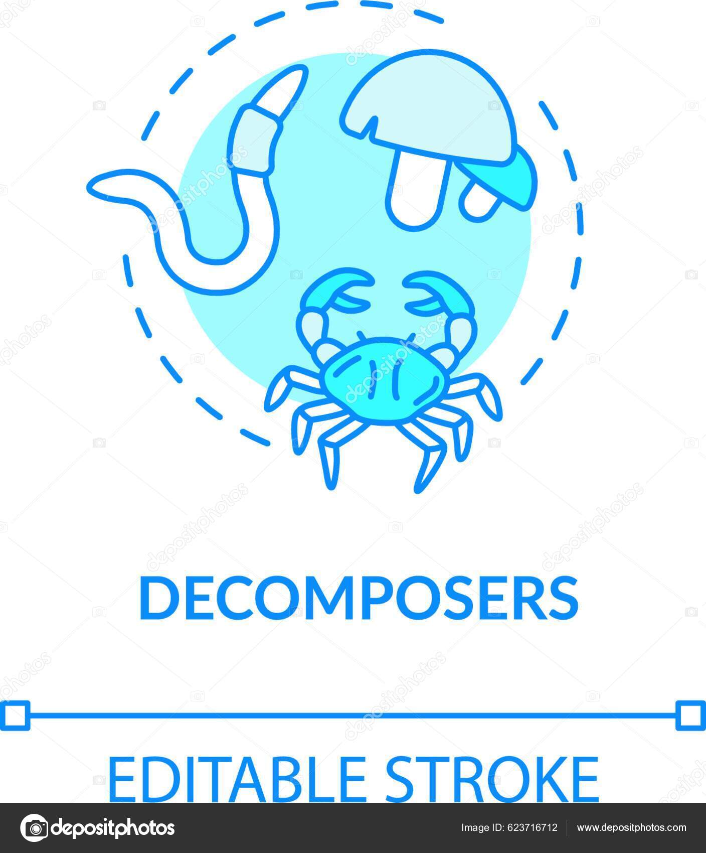 Decomposers Blue Concept Icon Food Chain Final Link Reducers Biological ...