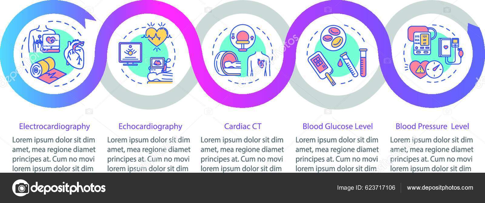 Heart Screening Vector Infographic Template Stock Vector Image by ©YAY ...