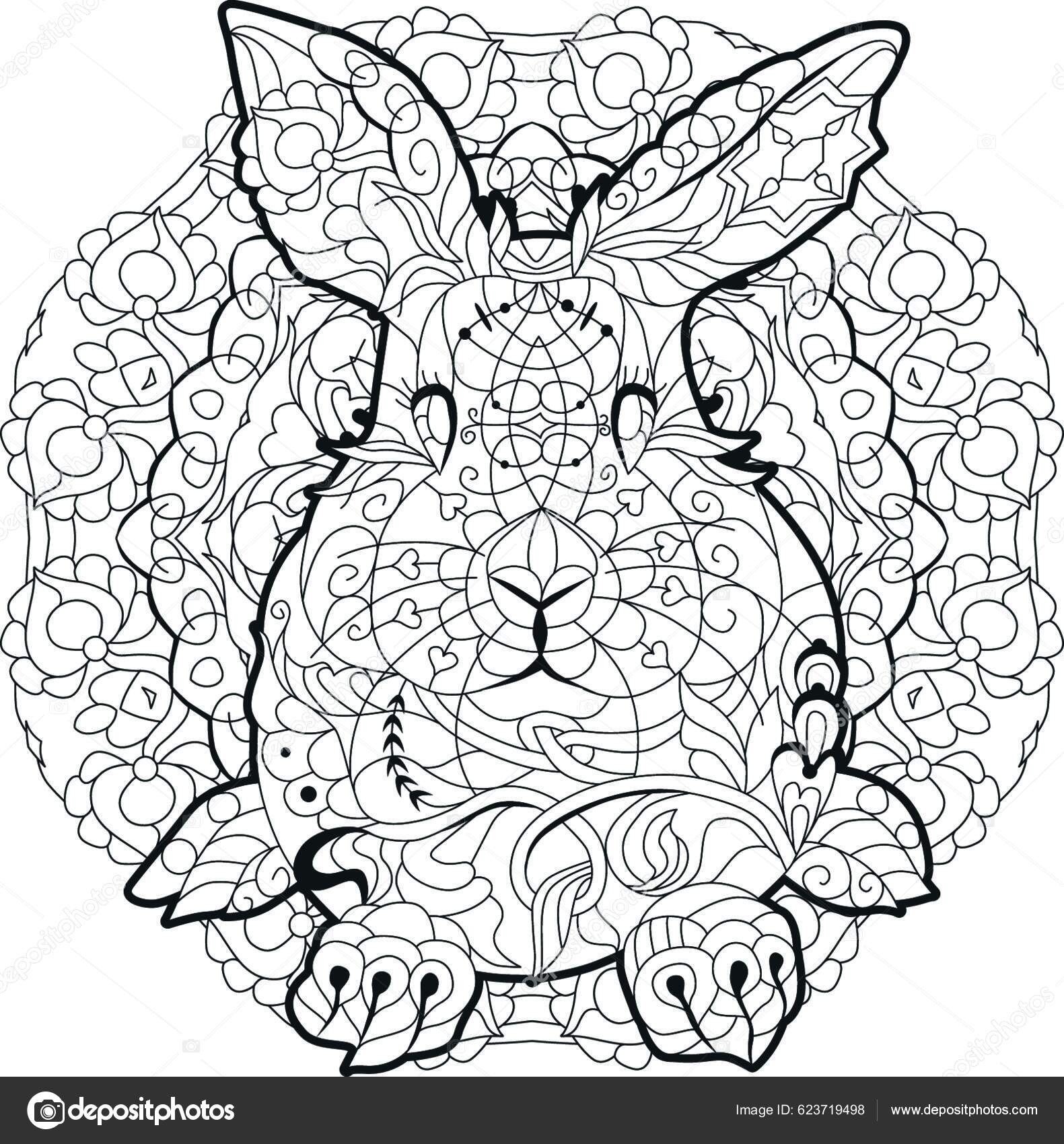 Conejo Primavera Mandala Página Para Colorear Para Adultos Niños Vector ...