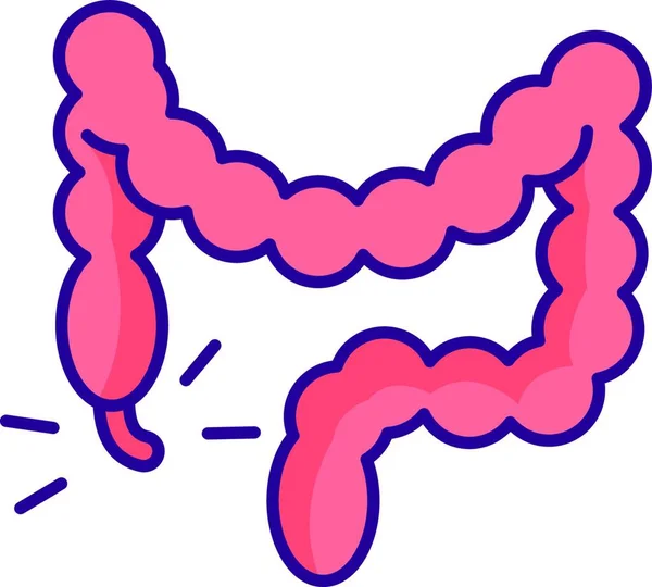 Human Heart Anatomy Color Icon Stock Vector by ©YAY_Images 623499232