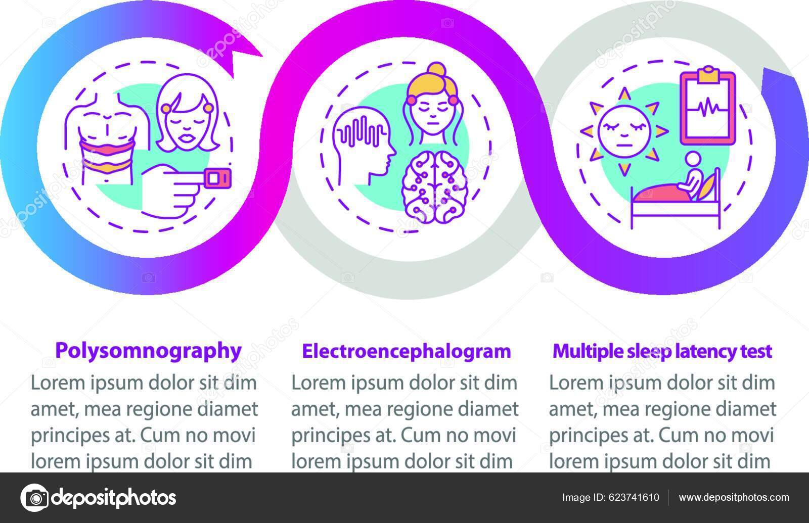 Estudio Siesta Diurna Plantilla Infografía Vectorial Vector de stock ...