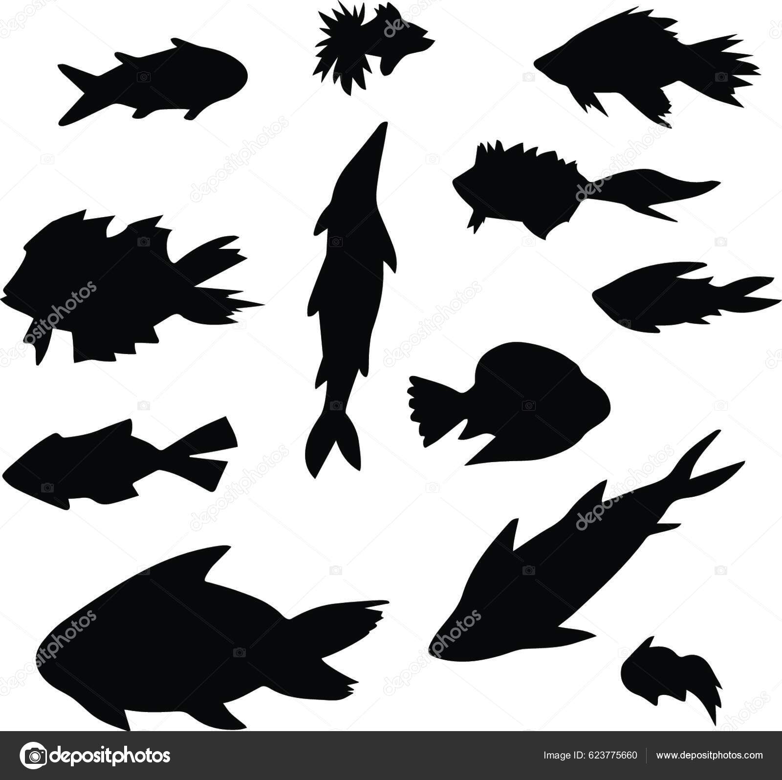 Set Siluet Ikan Koleksi Siluet Ikan Elemen Terisolasi Latar Belakang ...