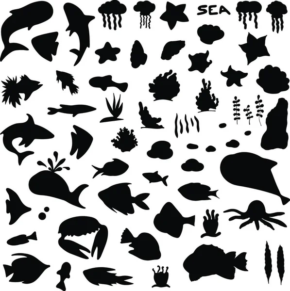 Set Siluet Ikan Koleksi Siluet Ikan Elemen Terisolasi Latar Belakang ...