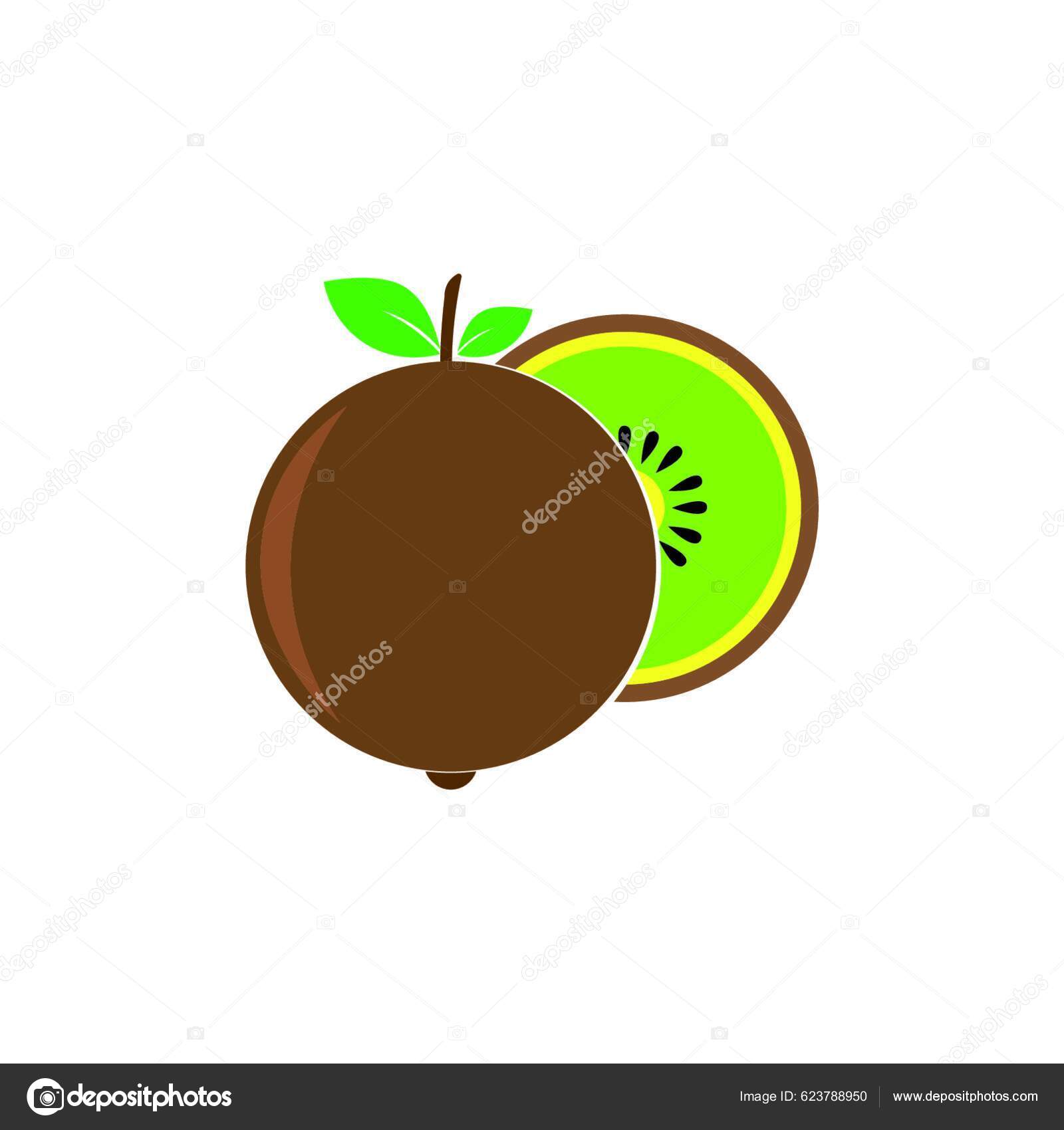Kiwi Fruit Logo Vector Stock Vector by ©YAY_Images 623788950