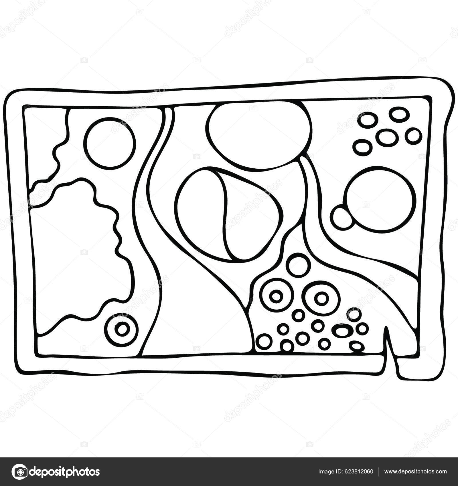 Sketch Moon Map Coloring Page White Background Astronomy Science Stock ...