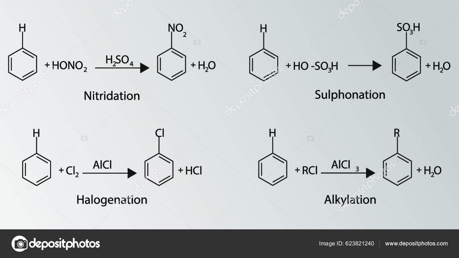 Ilustración Química Halogenación Electrofílica Tipo Sustitución Aromática Electrofílica Esta ...