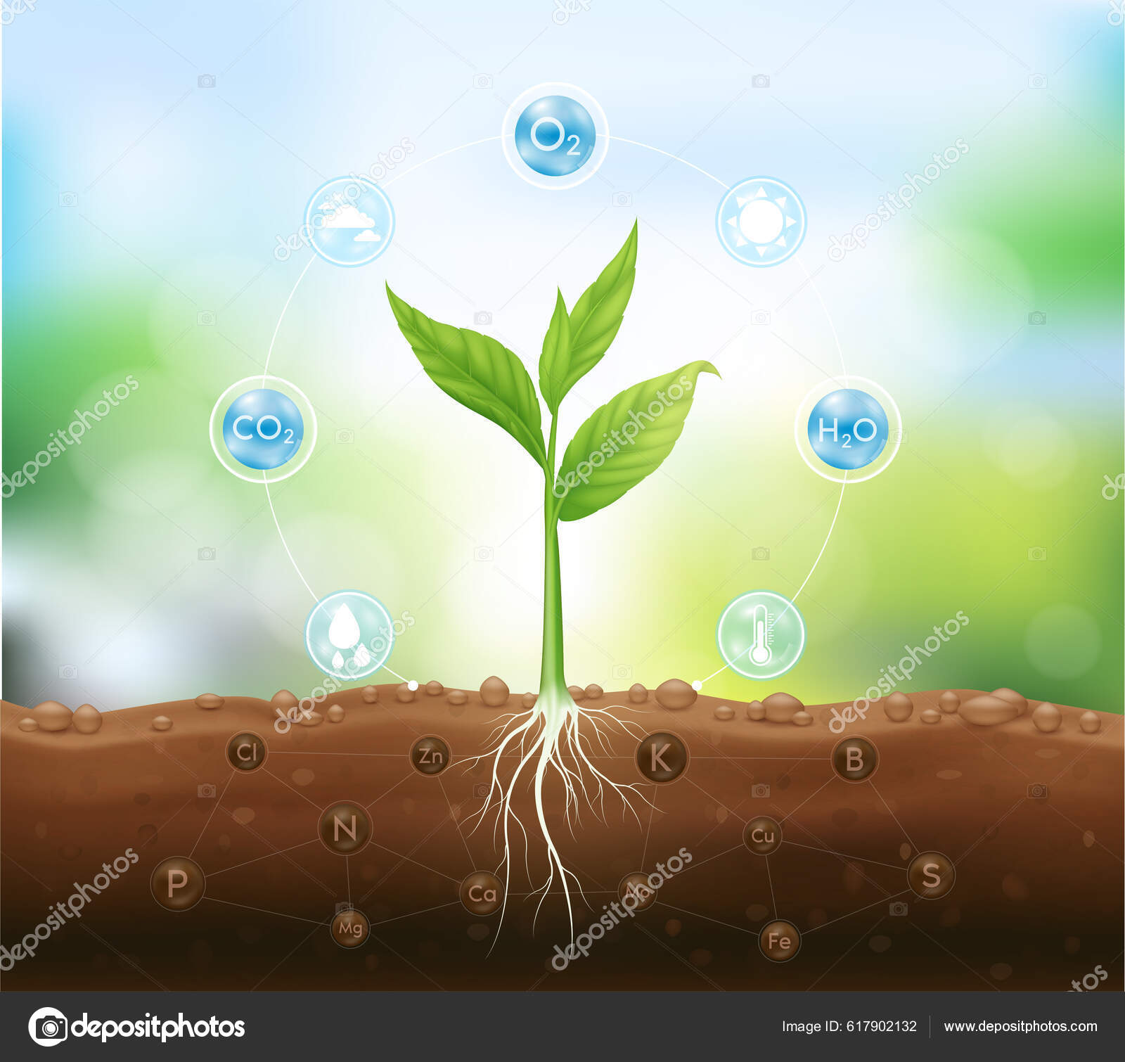 Soil Fertility Mineral Fertilizer Use at Lois Horning blog