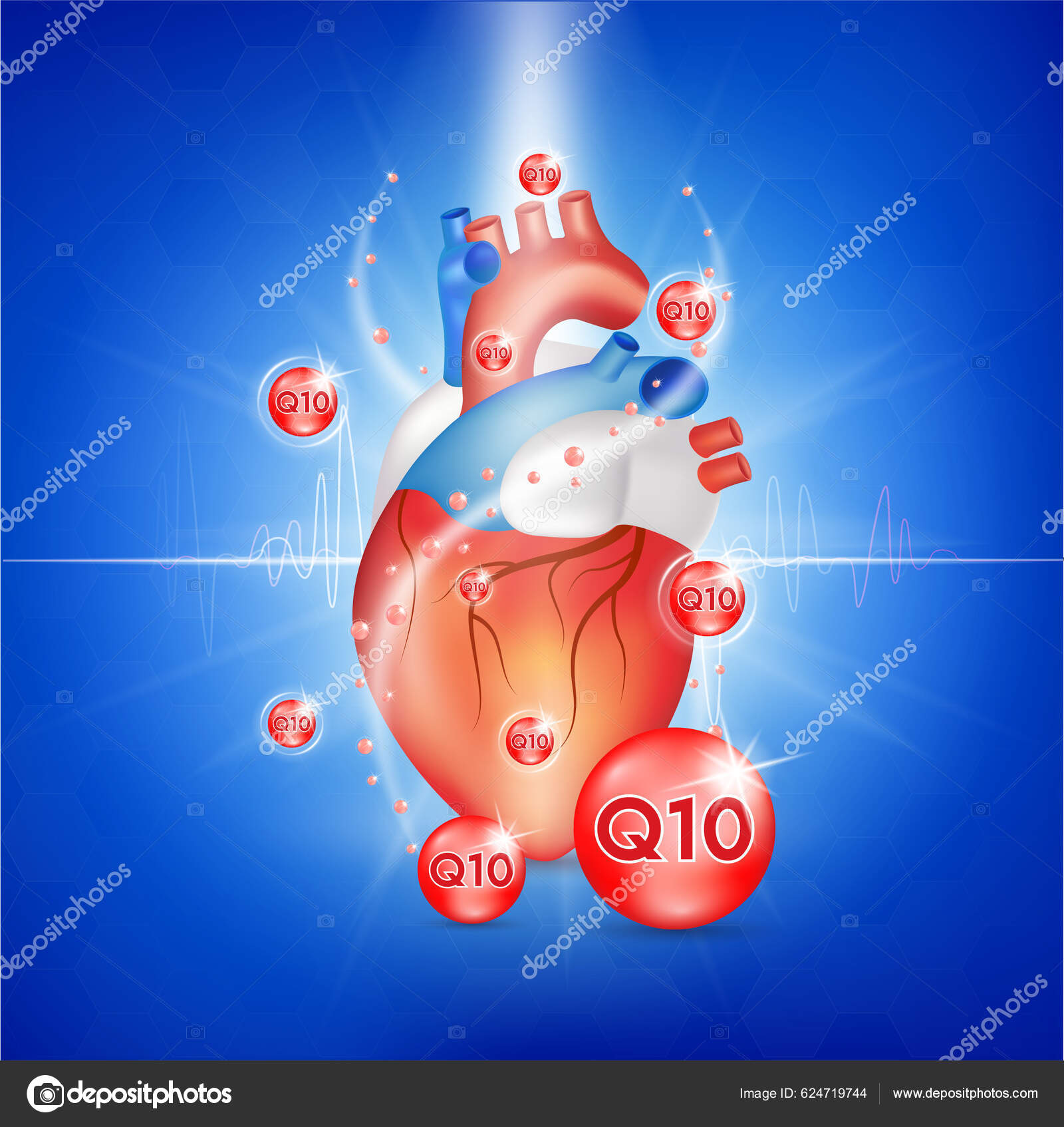 Coenzyme Q10 Heart Substance Maintaining Cardiac Activity Normalization ...