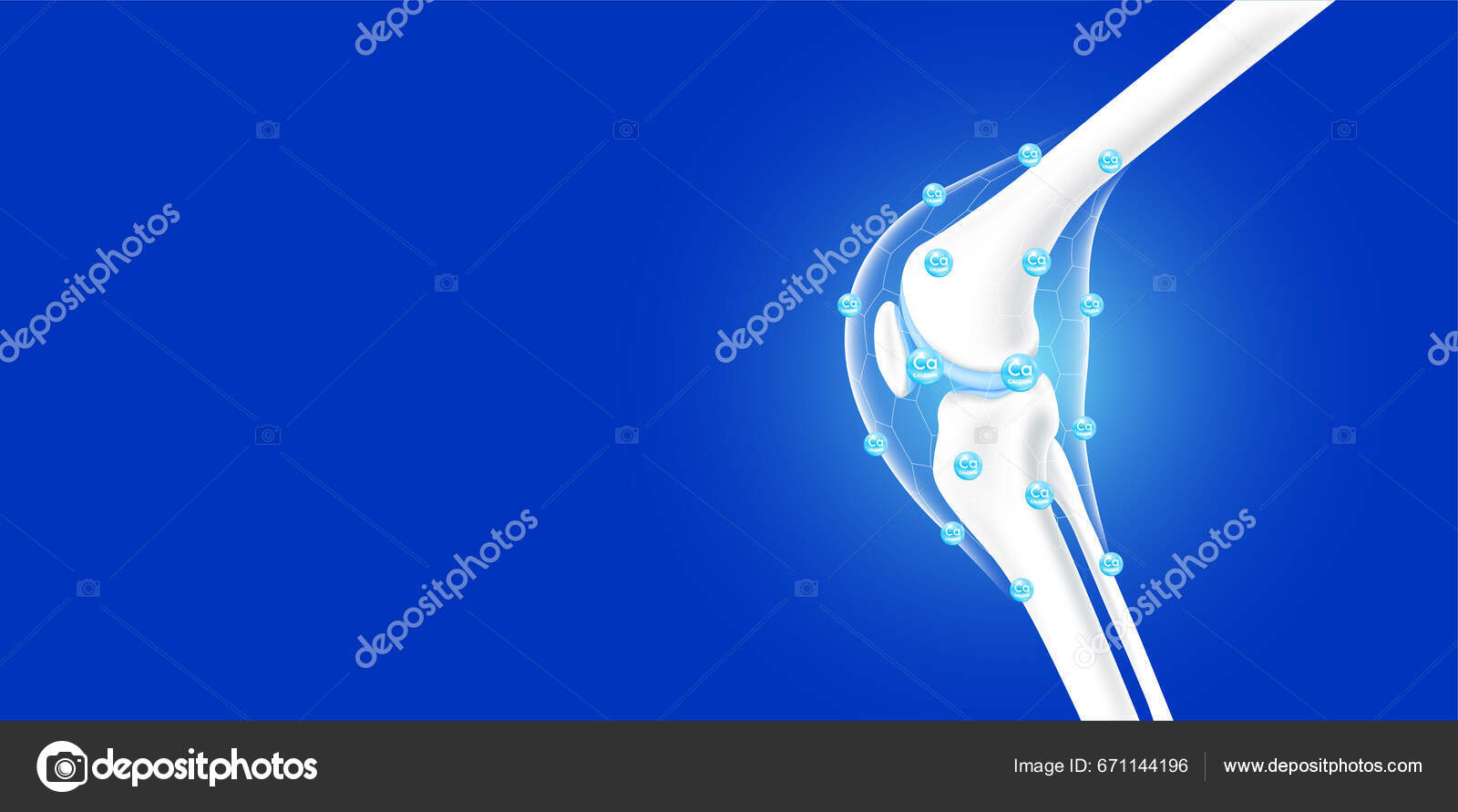 Leg Bones Knee Joint Side Healthy Collagen Calcium Line Hexagon Stock ...