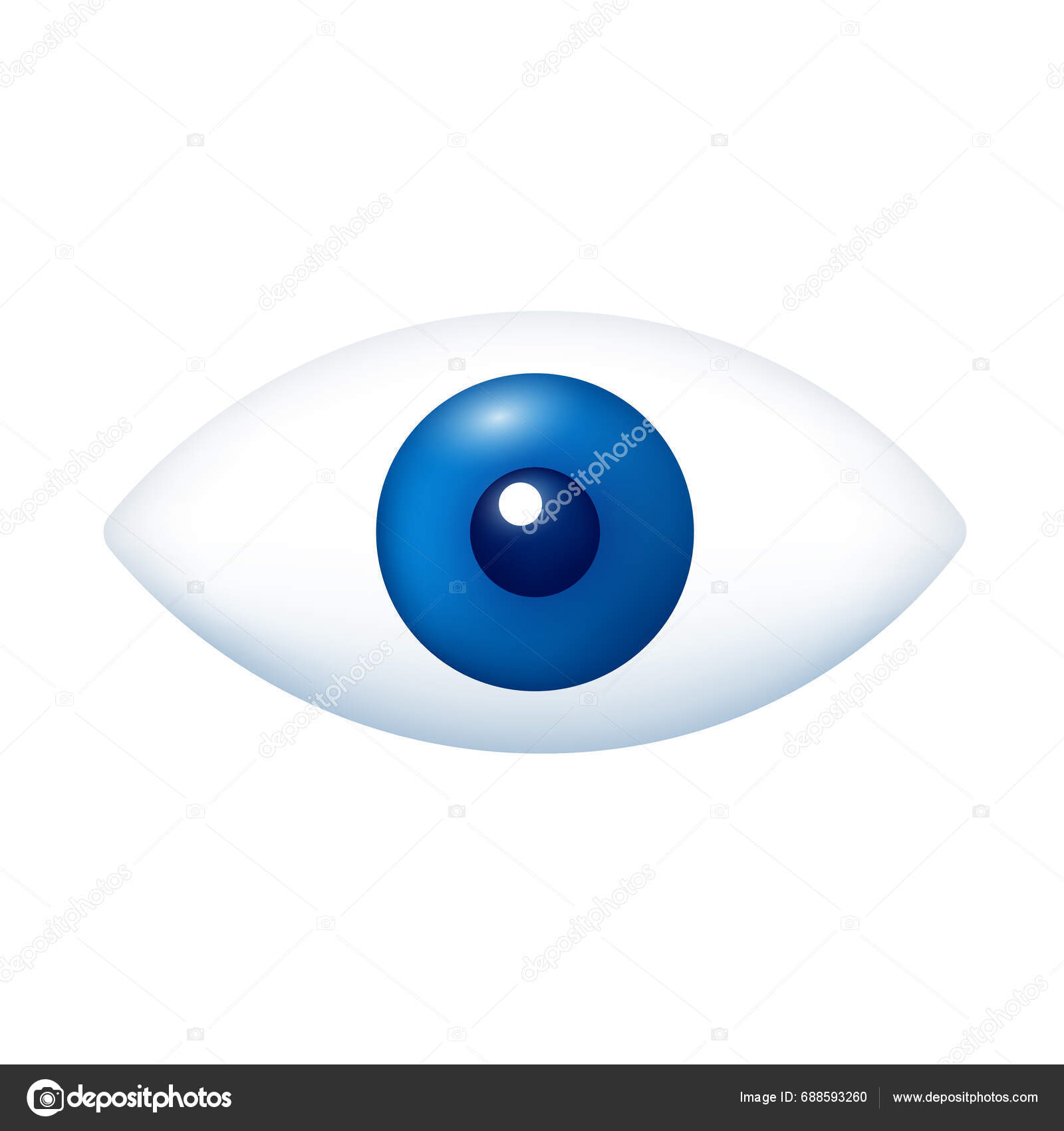 Eyeball Internal Organ Anatomy Model Isolated White Background Medicine ...