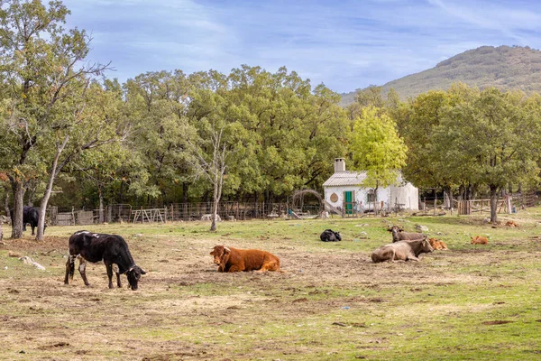 Paisajes rurales en argentina fotos de stock, imágenes de Paisajes ...
