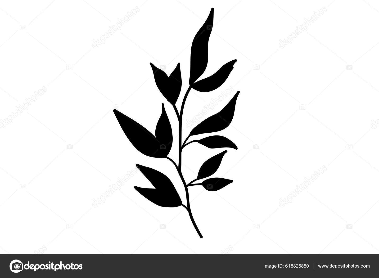 Silhouette Herbs Vector Spices Vector Illustration Herbs Garden ...