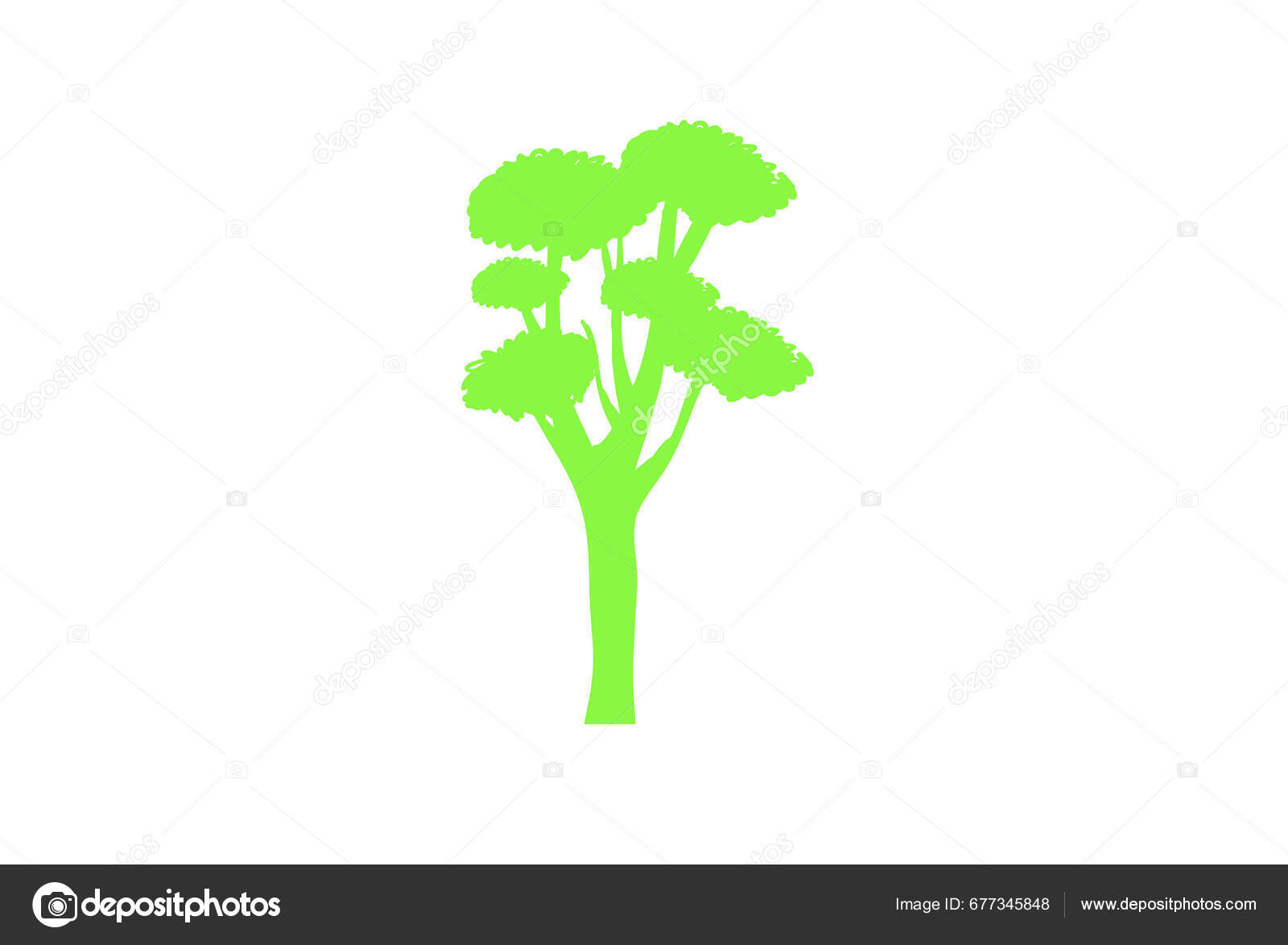 Forest Nature Concept Collection Different Tree Symbols Education ...
