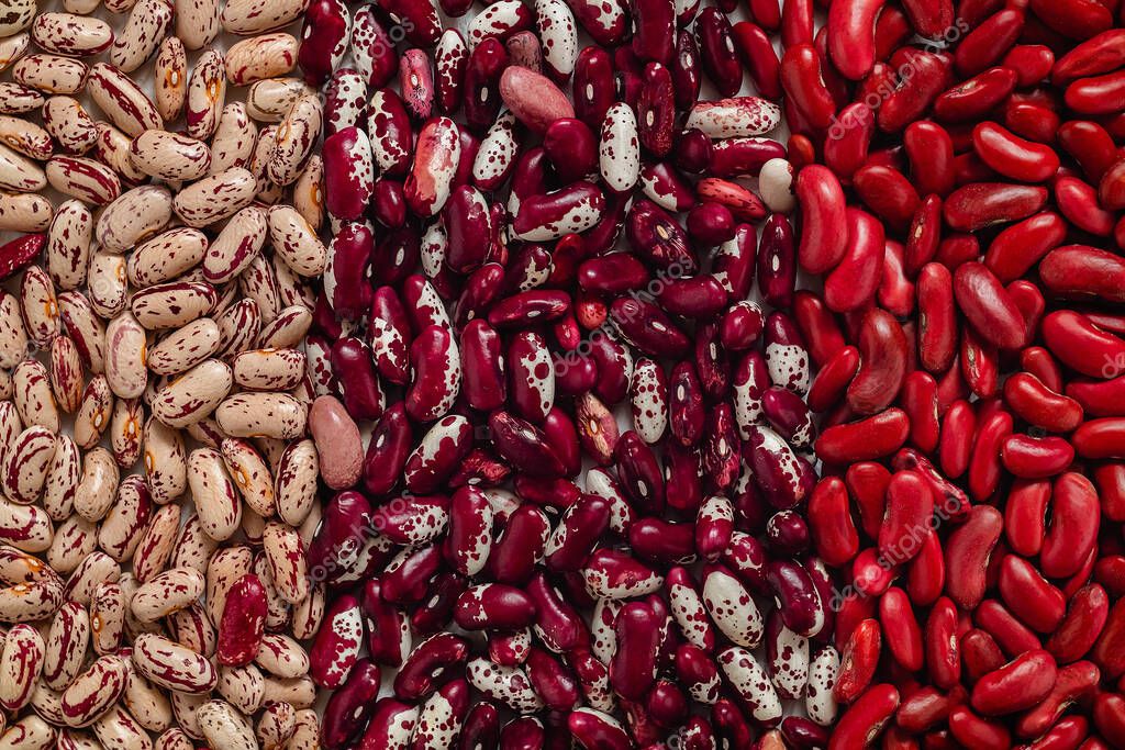 Conjunto de frijoles pinto beige rojo, frijoles anasazi morados blancos ...