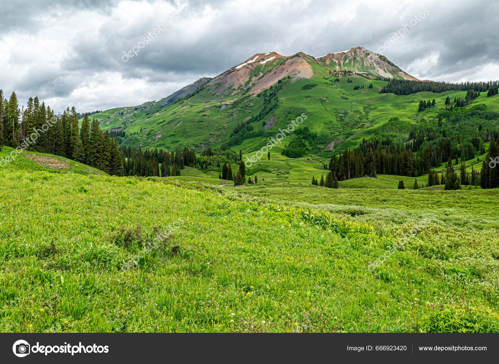 Colorado Summer Scenery