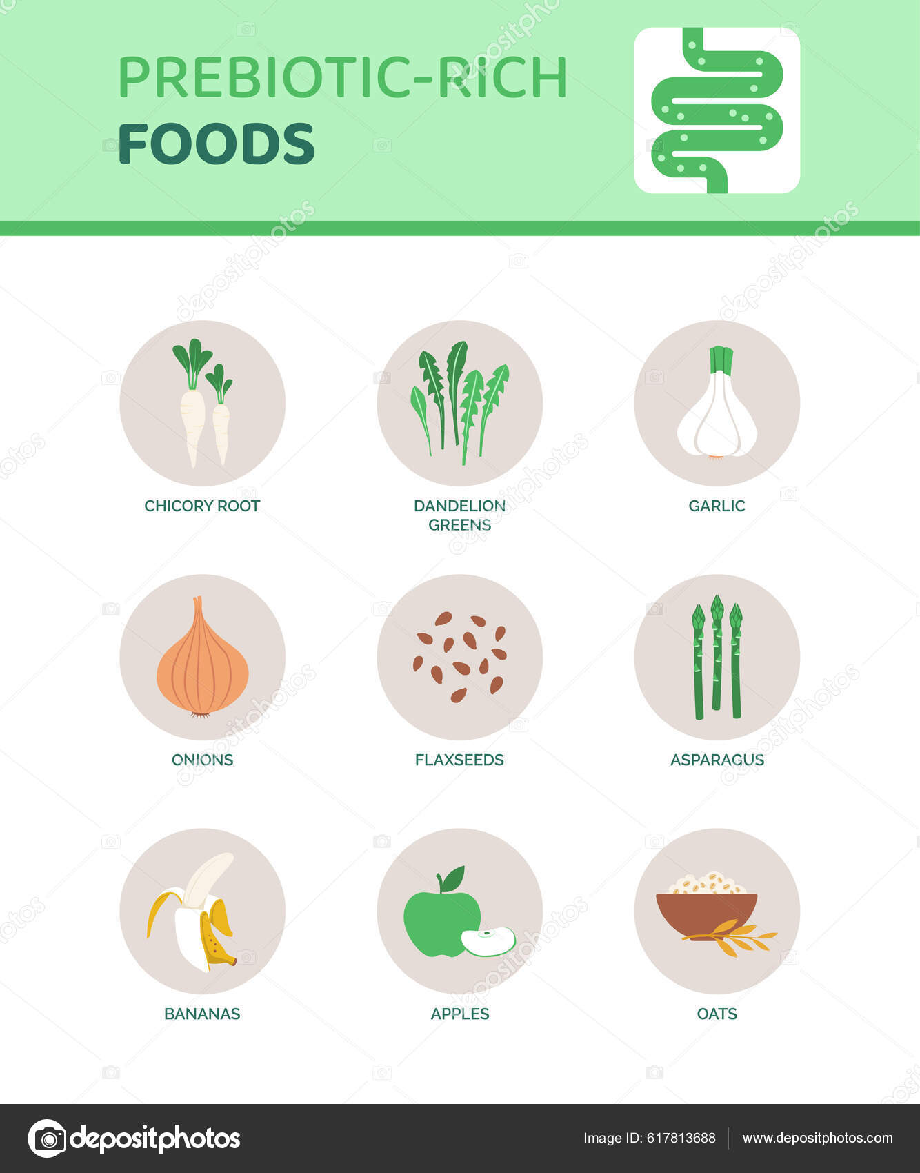 Prebiotic Rich Foods Help Digestion Infographic Icons Stock Vector by ...