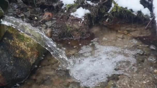 Groundwater Rises Top Spring Pipe Forest — Stock Video © ElinaMia ...