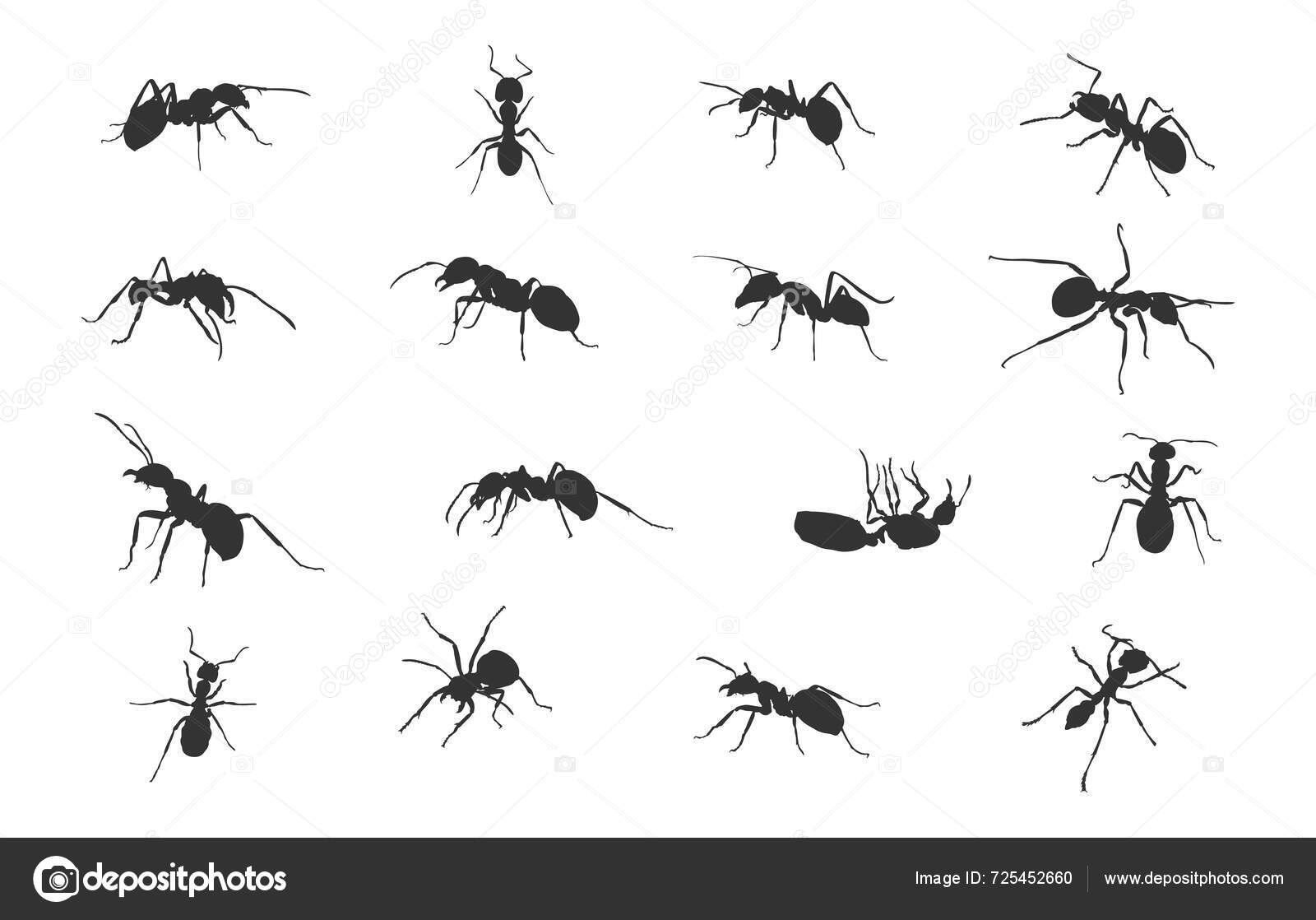Ants Silhouette Ant Clipart Ants Svg Ant Silhouette Set Ants Stock ...